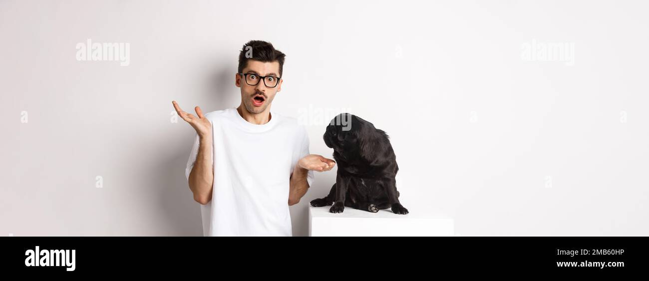 Image of funny black pug looking at his confused owner, man shrugging ...