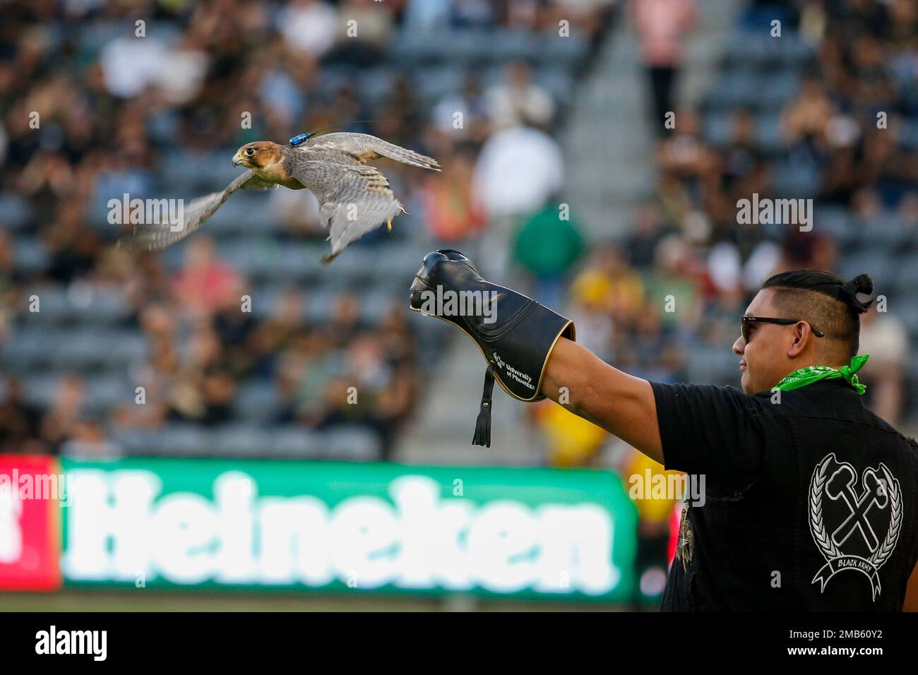 Los Angeles FC's mascot Olly the Falcon is released prior to the team's ...