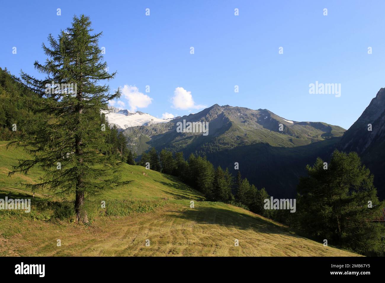 Vue sur le Mont Blanc. Forclaz. Suisse. Europe. / View of Mont Blanc ...