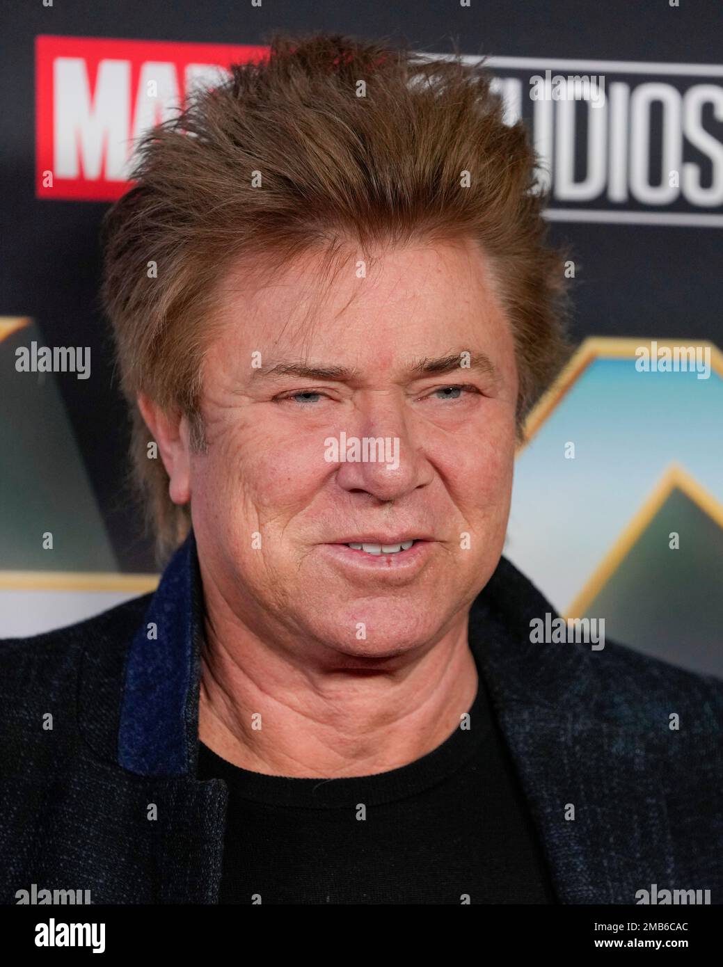 Australian television personality Richard Wilkins during a red carpet ...