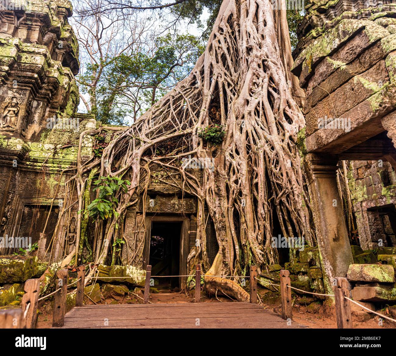 A mystery entrance door in Ta Prohm temple an iconic travel destination ...