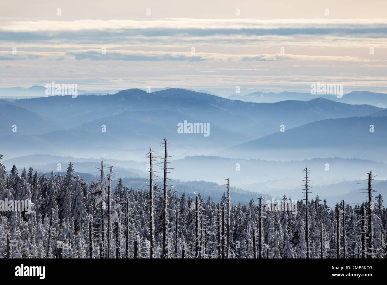 Dramatic winter landscape with hills and valleys covered with fog Stock ...
