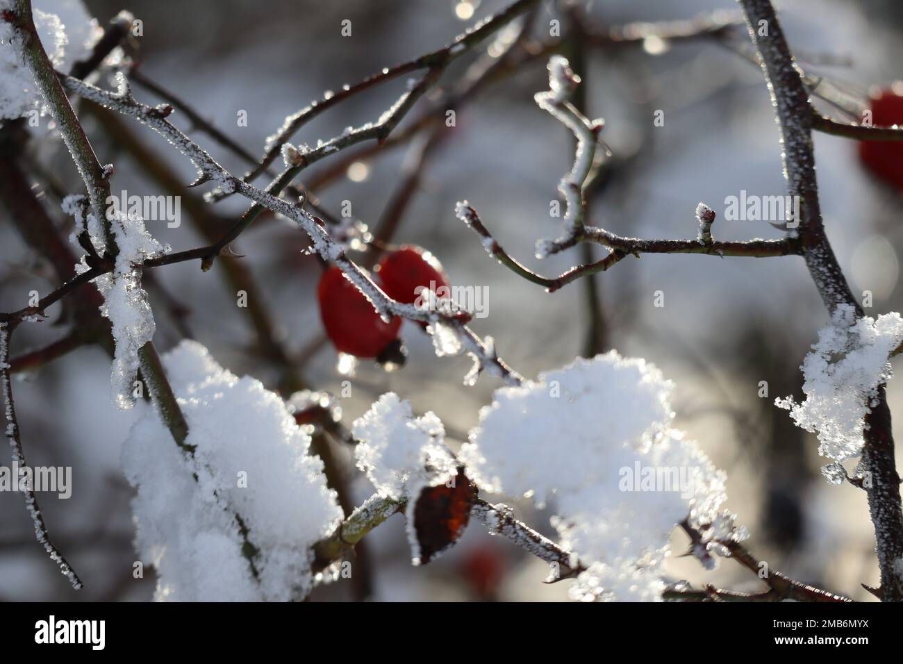 Melts in the sun hi-res stock photography and images - Alamy