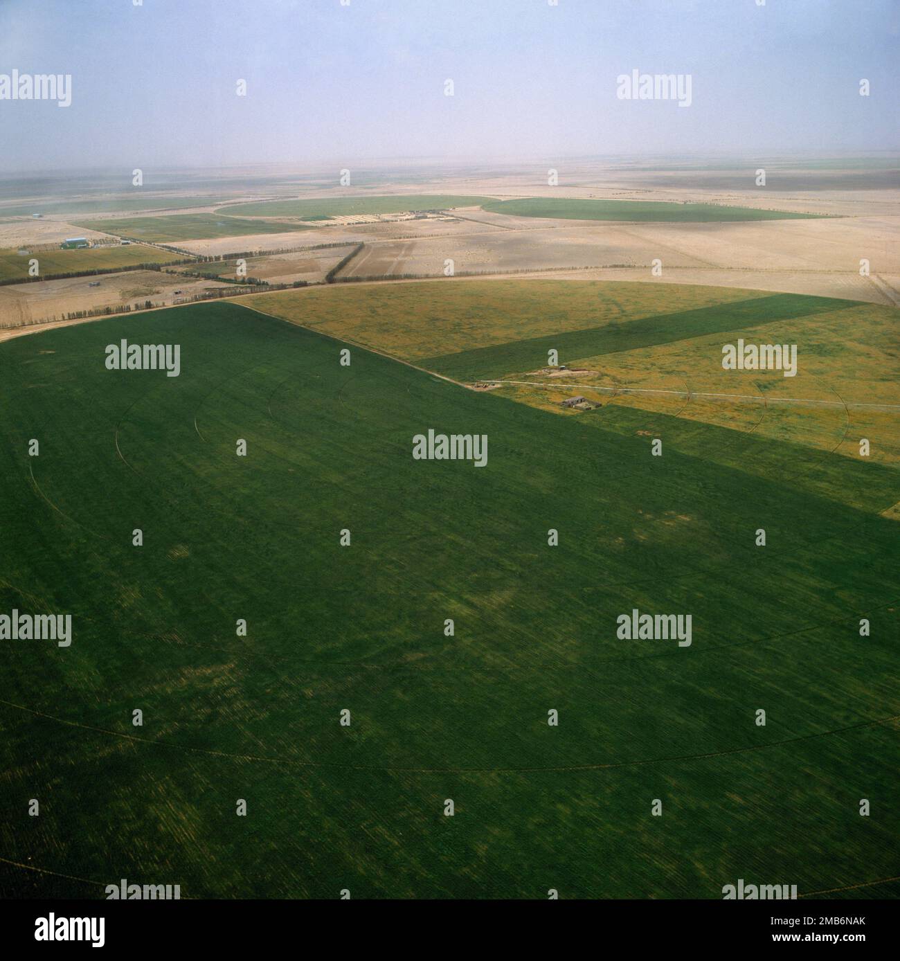 Buraidah Saudi Arabia Irrigated Farm Land Aerial View Stock Photo - Alamy