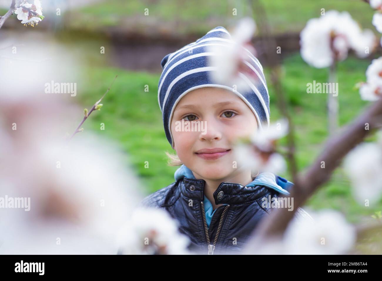 Portrait of a little boy among cherry blossoms in spring. A child on a ...