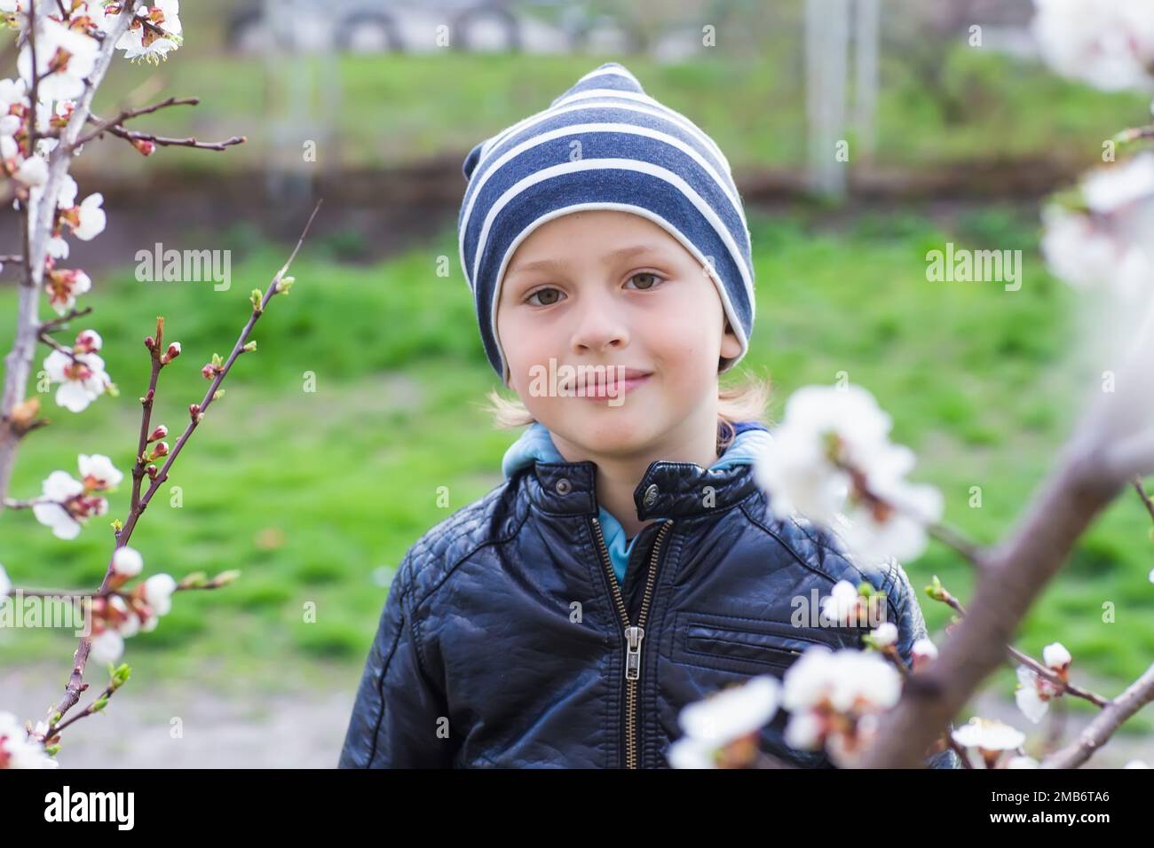Portrait of a little boy among cherry blossoms in spring. A child on a ...