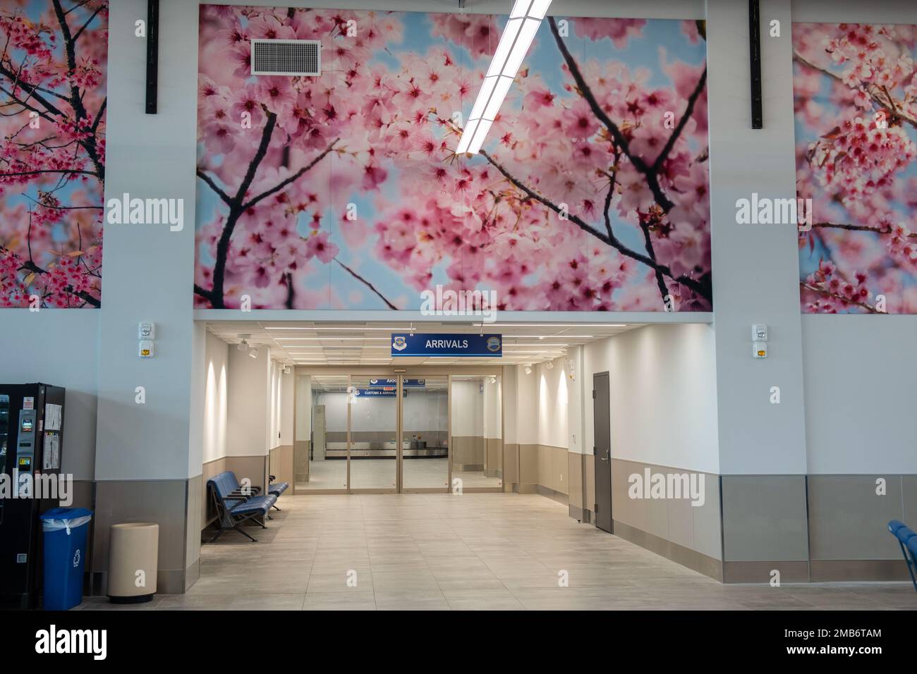 Photos of cherry blossoms are displayed along the walls of the Yokota ...