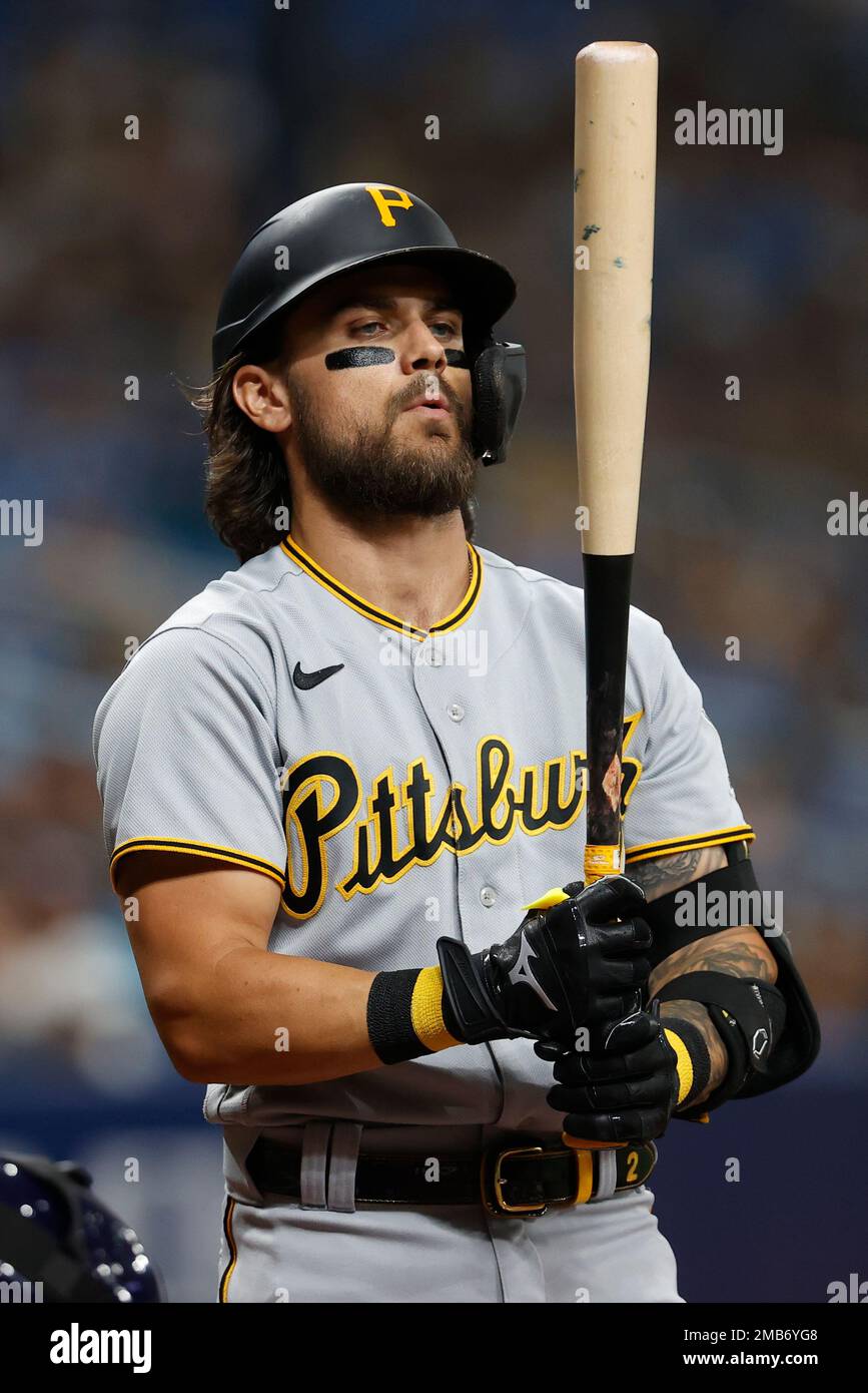 Pittsburgh Pirates' Michael Chavis stands in the batters box against ...