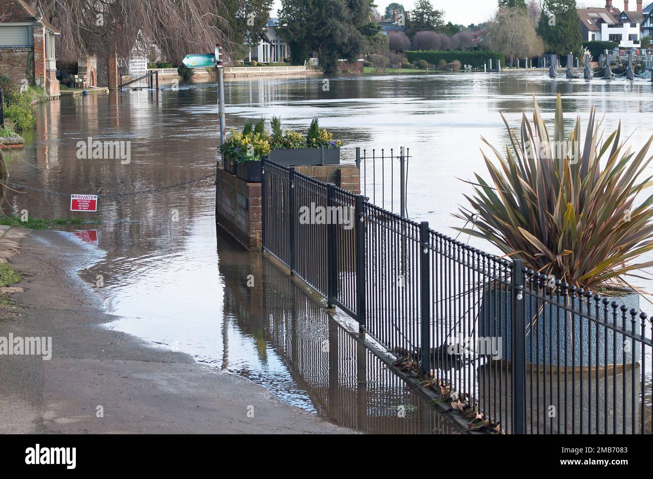 Marlow, Buckinghamshire, UK. 20th January, 2023. Flooding on the Thames ...