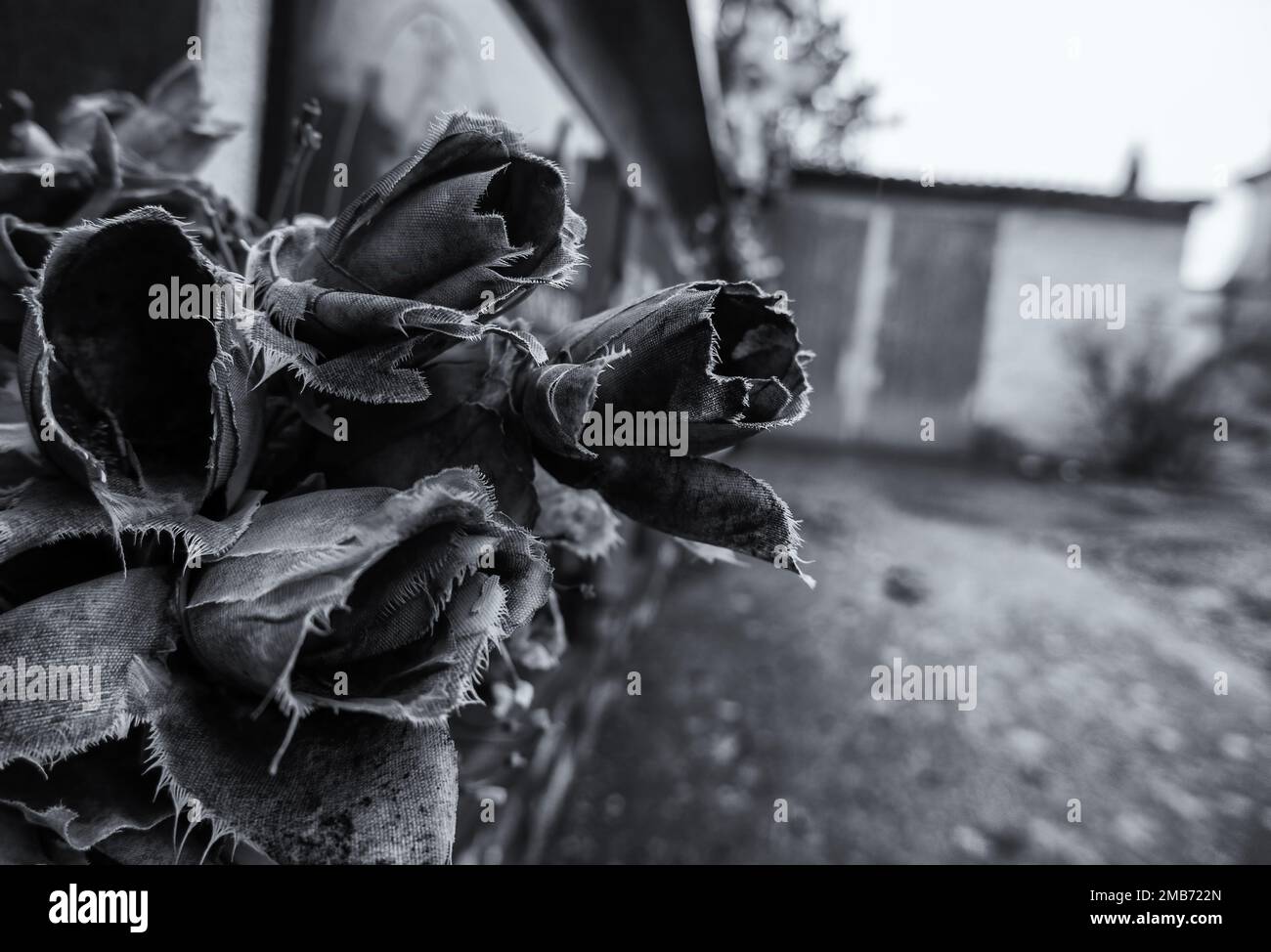 Detail of old flowers, offering for the dead Stock Photo - Alamy