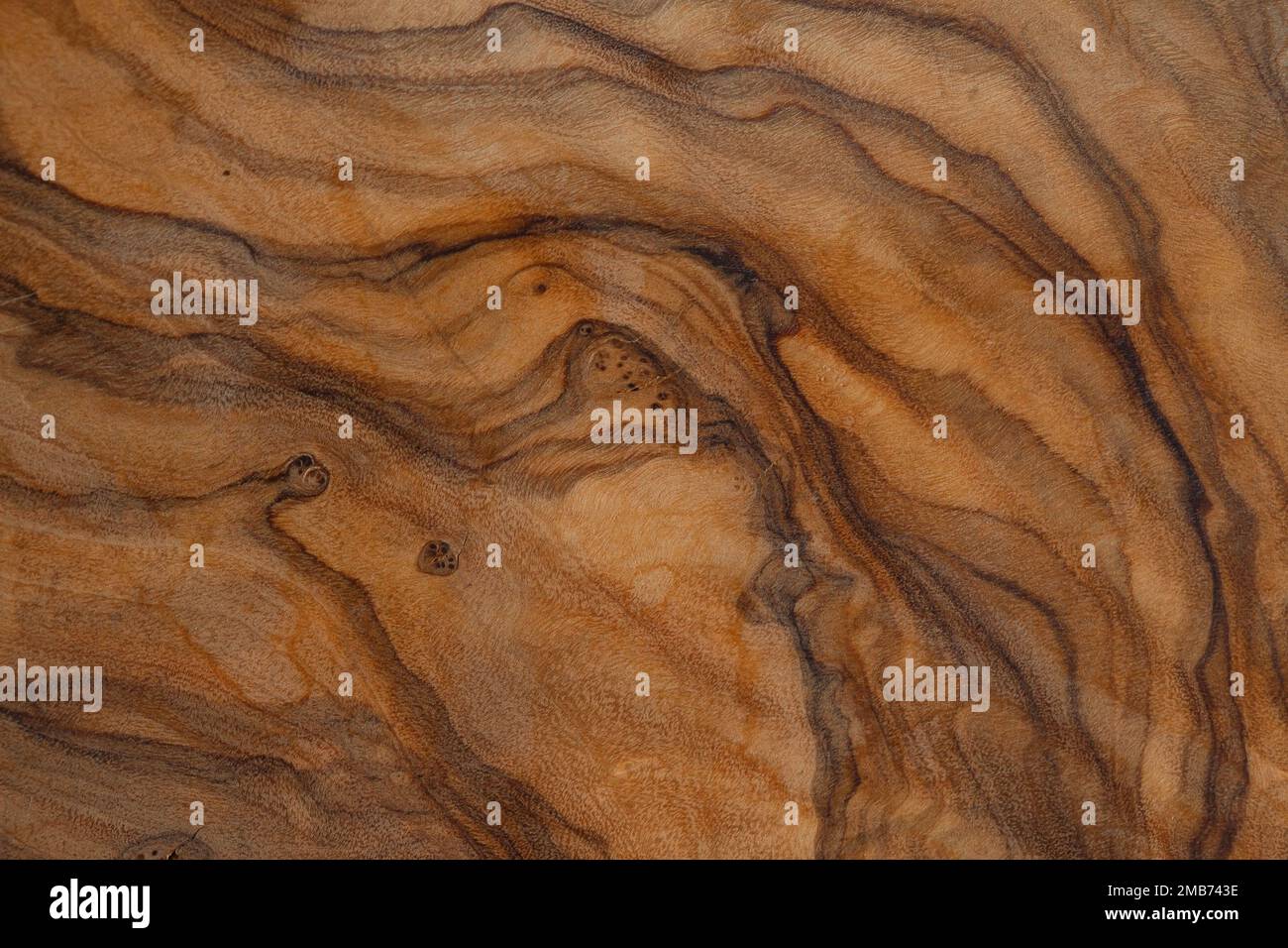 Olive wood texture background. Vintage wood. Surface of texture with ...