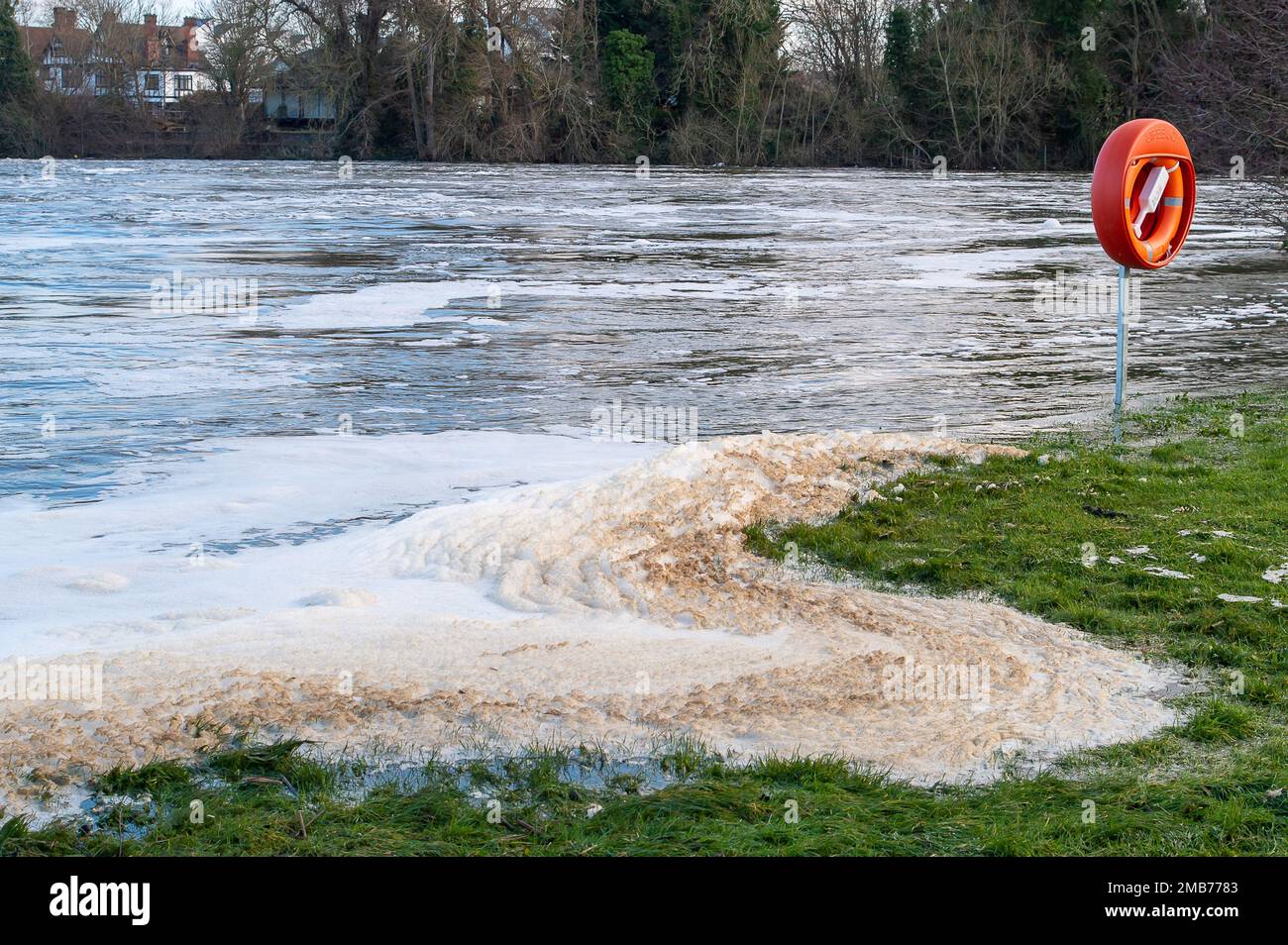 Marlow, Buckinghamshire, UK. 20th January, 2023. Foam with a brown ...