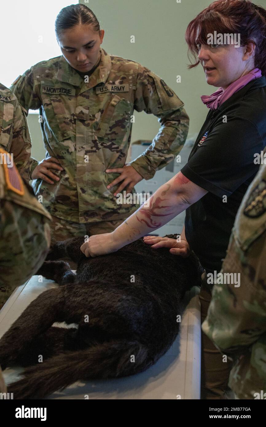 Holly Watts, a simulations technician with General Dynamics Information ...