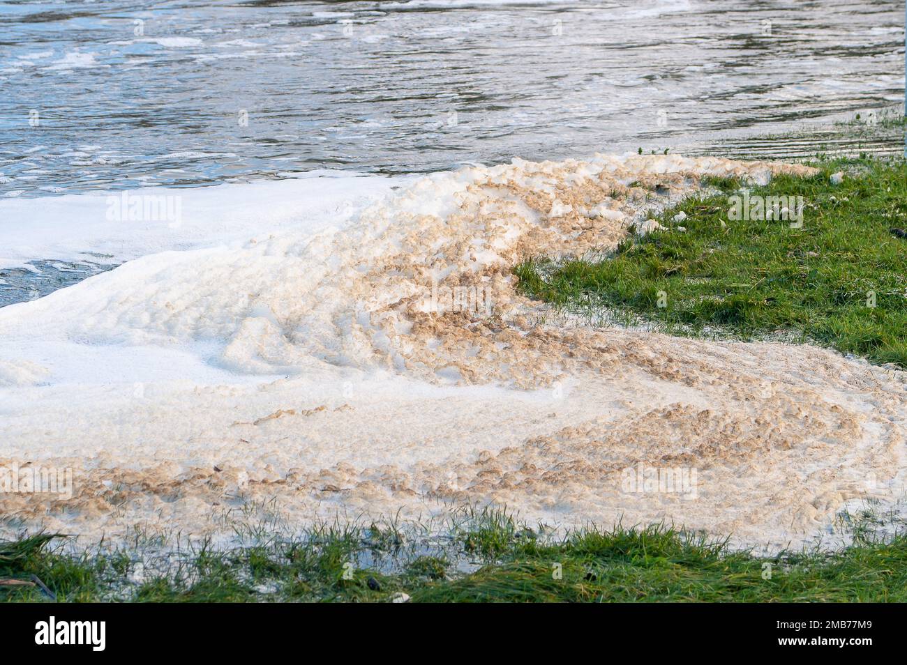 Marlow, Buckinghamshire, UK. 20th January, 2023. Foam with a brown ...