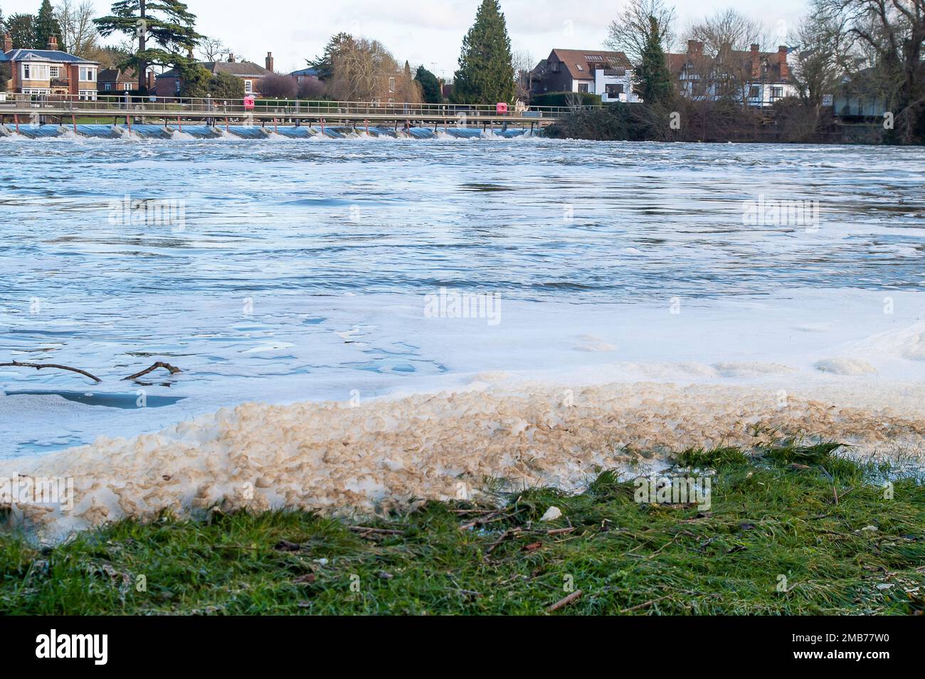 Marlow, Buckinghamshire, UK. 20th January, 2023. Foam with a brown ...