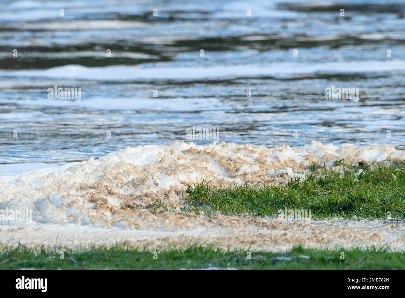 Marlow, Buckinghamshire, UK. 20th January, 2023. Foam with a brown ...