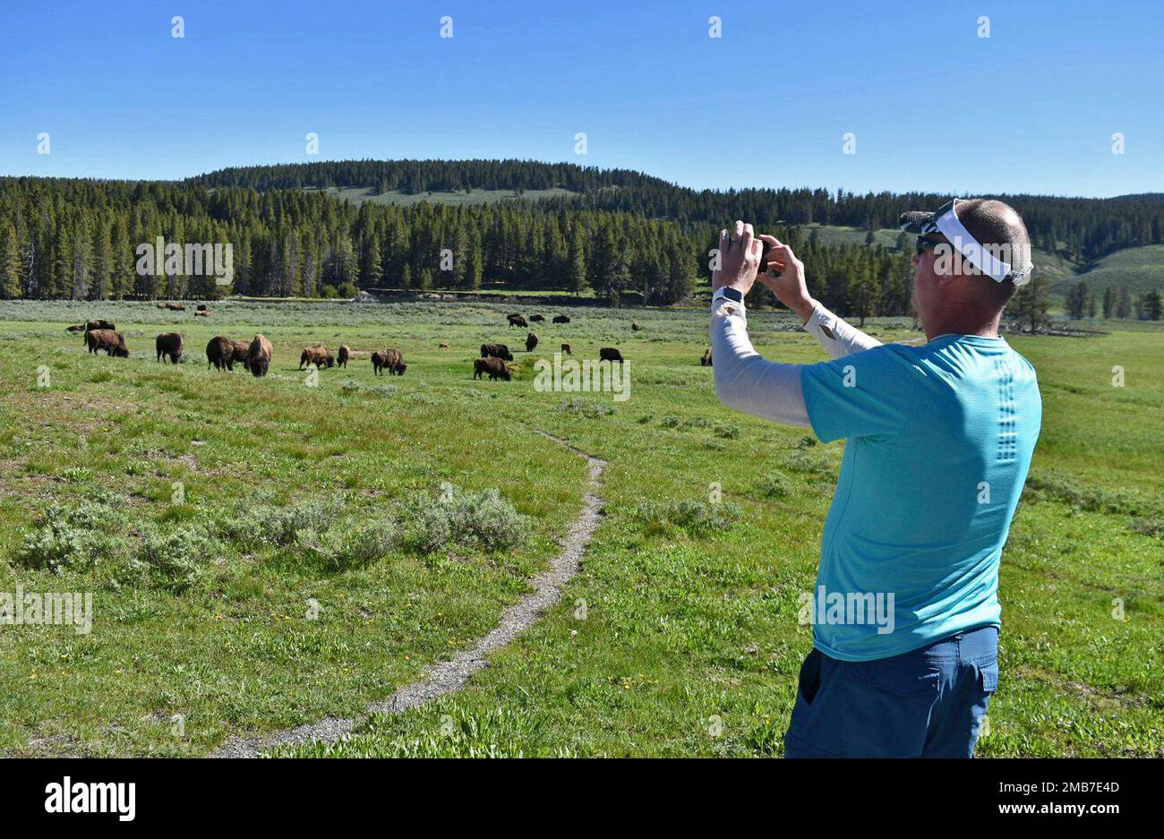 Jason Poquette of Oshkosh, Wisc., takes pictures of a bison herd in the ...