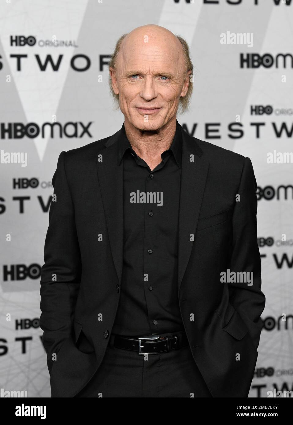 Ed Harris attends the premiere of HBO's "Westworld" Season 4 at Alice ...