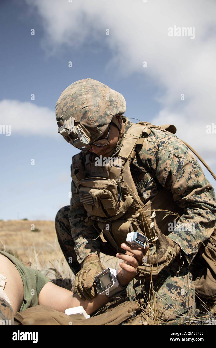 A U.S. Navy Corpsman with 1st Light Armored Reconnaissance Battalion ...