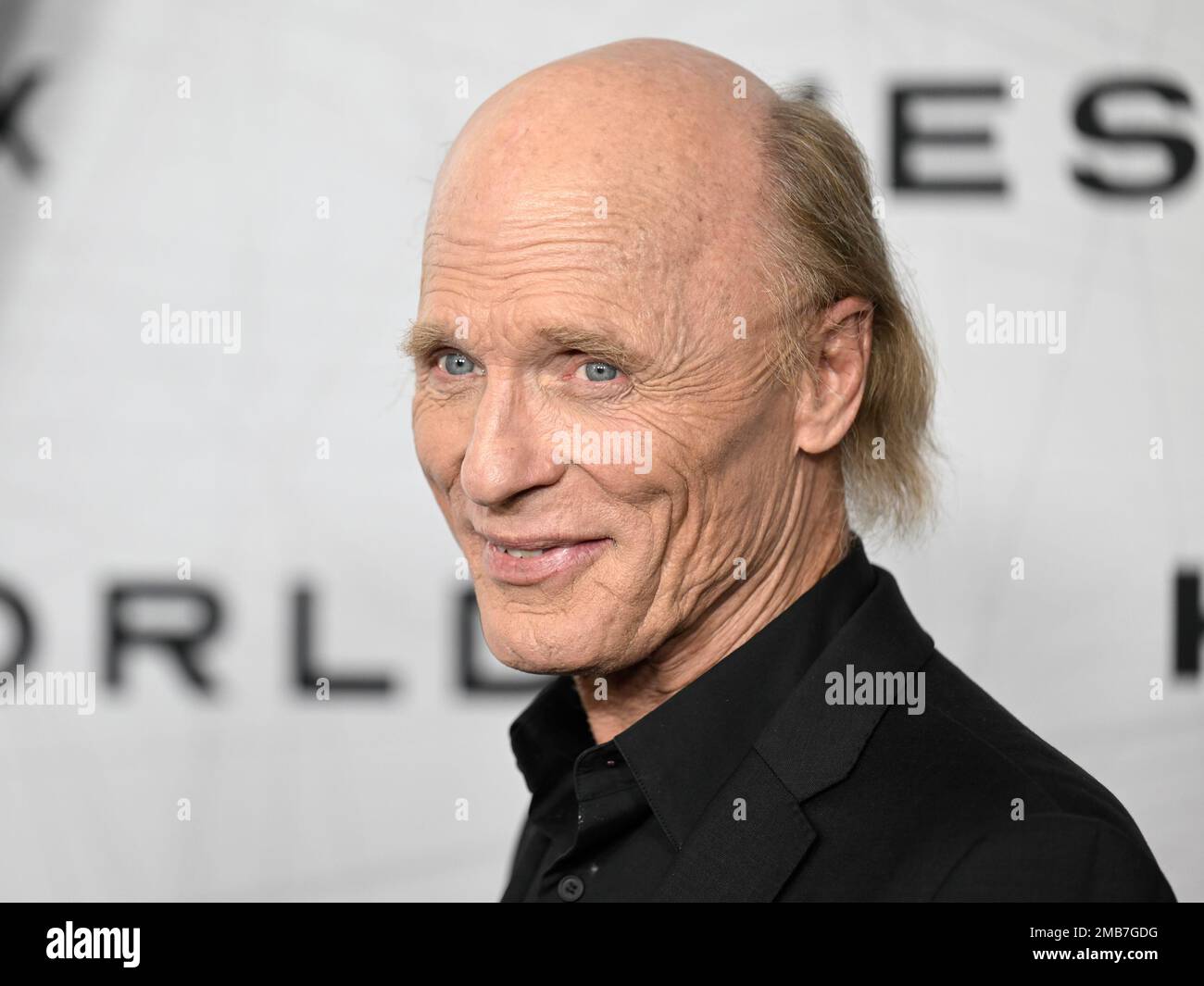Ed Harris attends the premiere of HBO's "Westworld" Season 4 at Alice ...