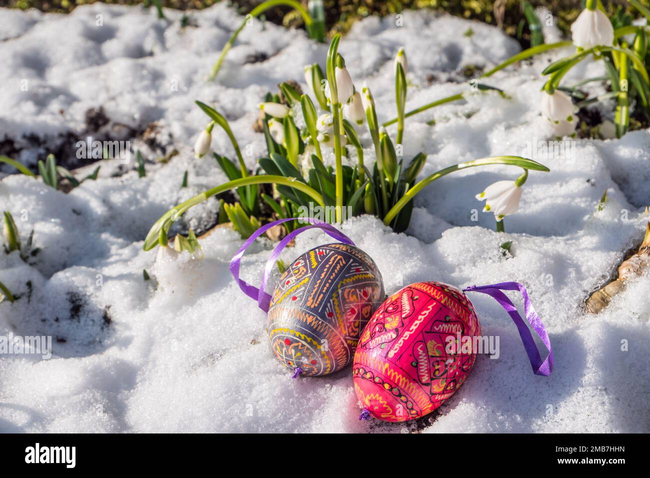 Easter eggs lie in the snow Stock Photo - Alamy