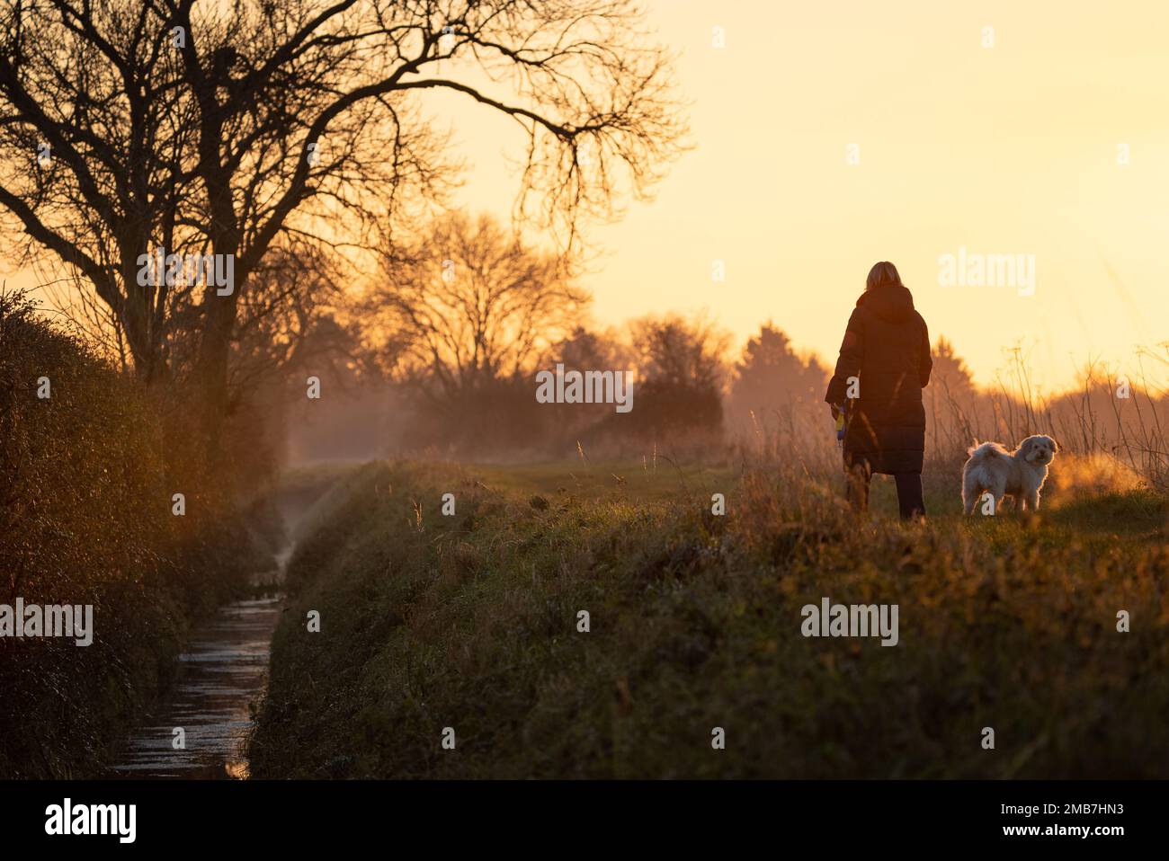 A person and their dog enjoy a peaceful walk through the English ...