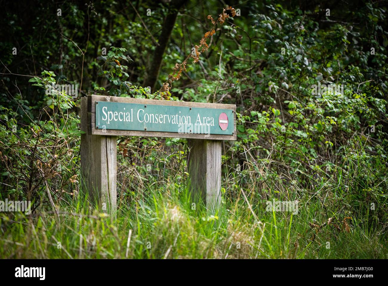 A rustic sign reading 'Special Conservation Area' stands prominently in ...