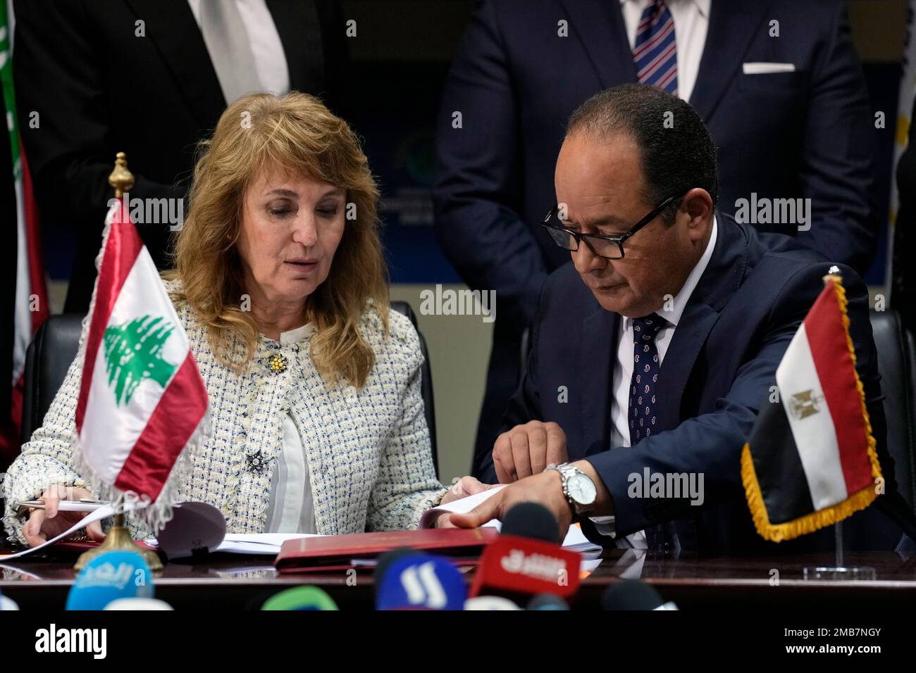 Director-General of Oil Facilities at the Lebanese Energy Ministry ...