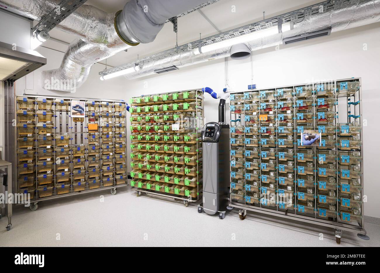 Hamburg, Germany. 20th Jan, 2023. New cages for mouse husbandry with ...