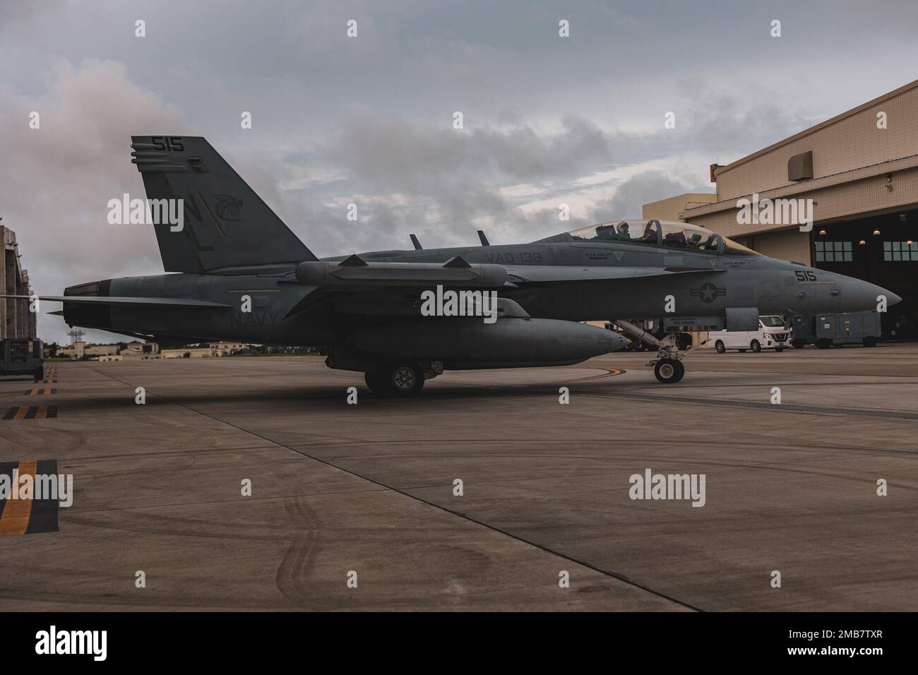 A U.S. Navy E/A-18G Growler aircraft assigned to Electronic Attack ...