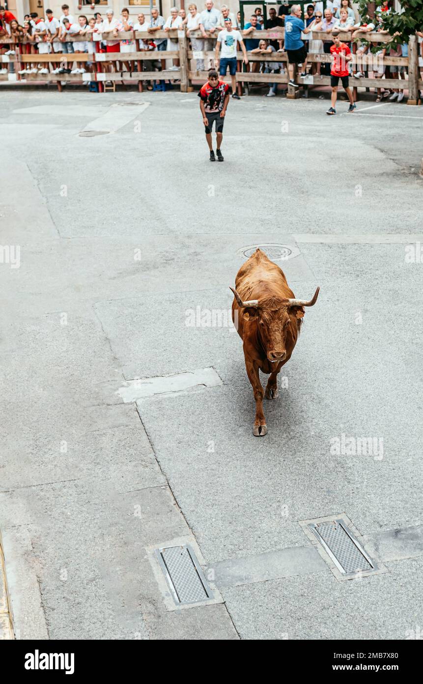 Azagra, Navarra, Spain - August 13, 2022: During the running of the ...