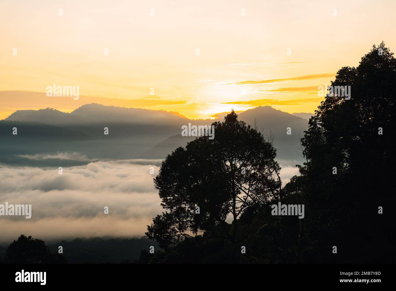 Sea clouds during golden sunrise above the Titiwangsa range mountains ...