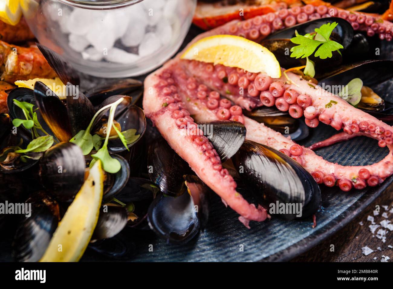 Seafood platter for 2-4 persons. Lobster, octopus, blue mussels ...