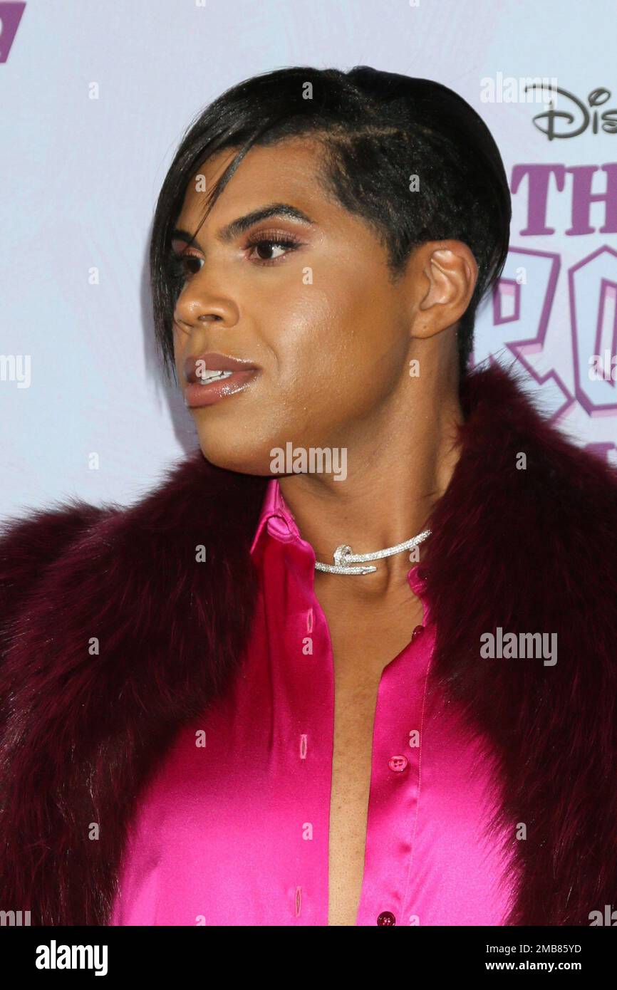 Los Angeles, CA. 19th Jan, 2023. EJ Johnson at arrivals for THE PROUD ...