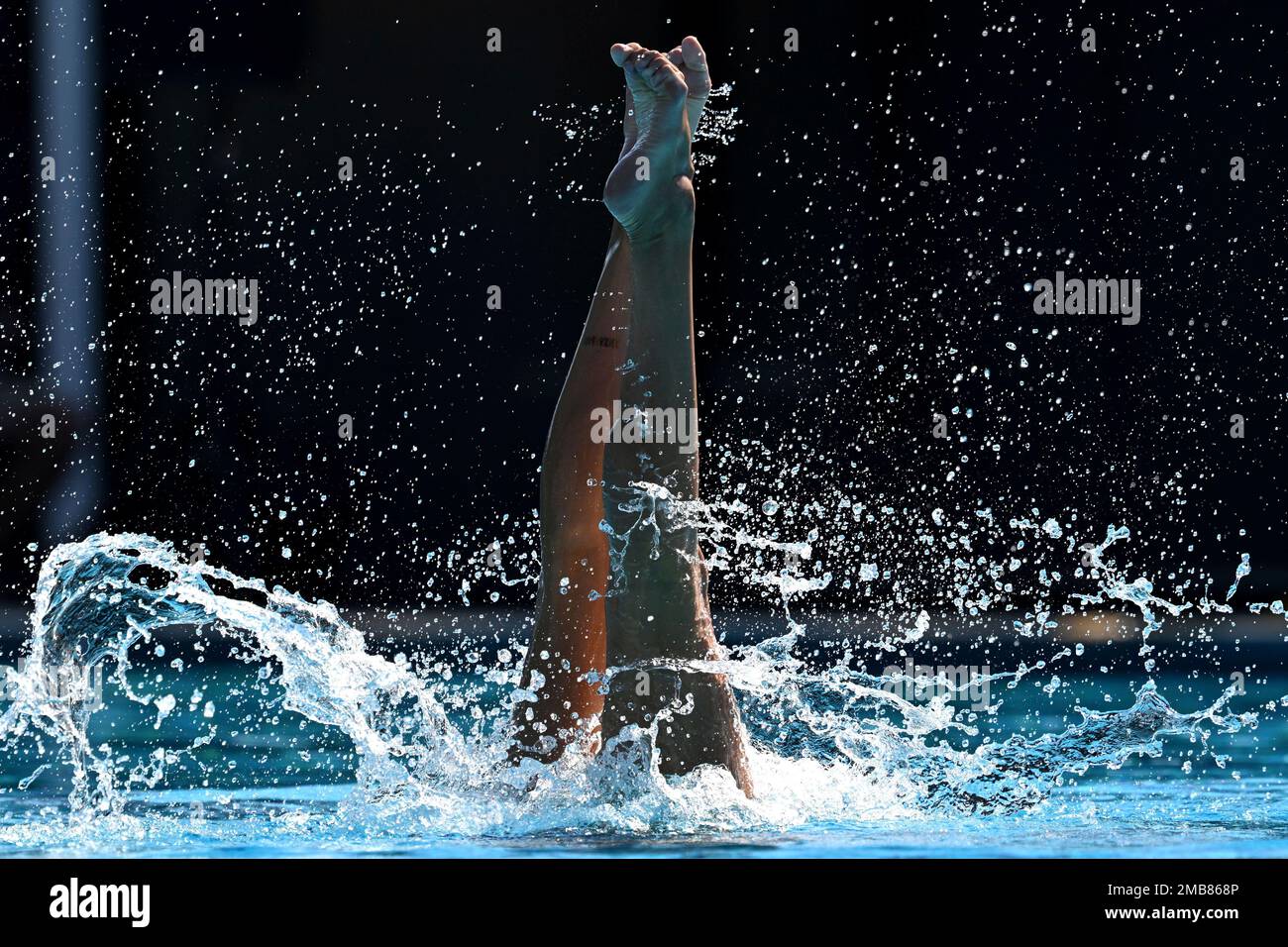 Ukraine's Marta Fedina competes during solo technical final of artistic ...