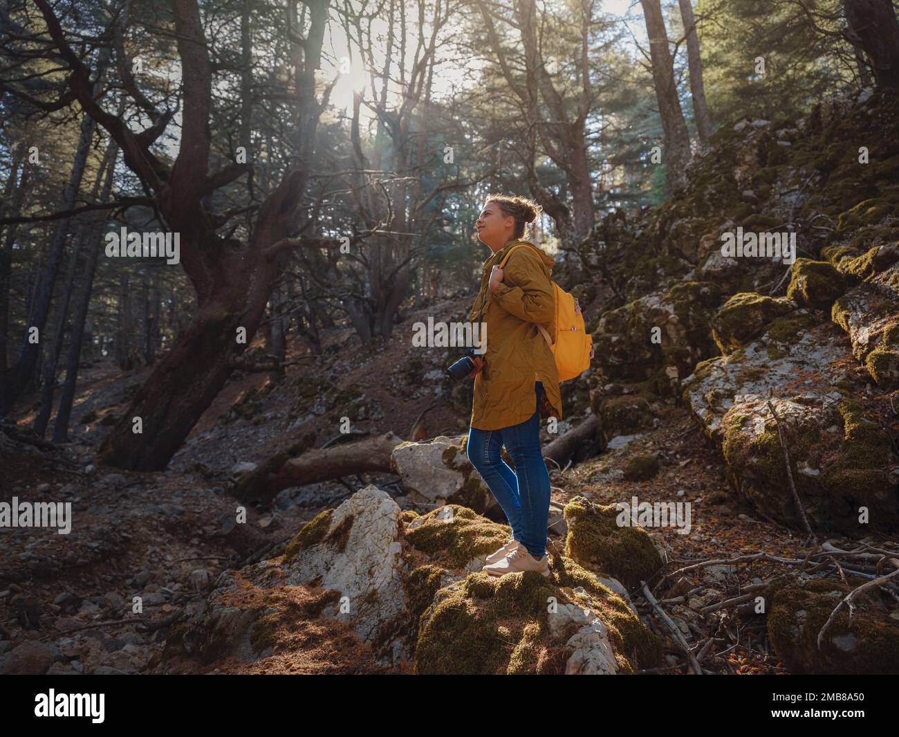 caucasian woman enjoys being in nature, beautiful forest in mountains ...
