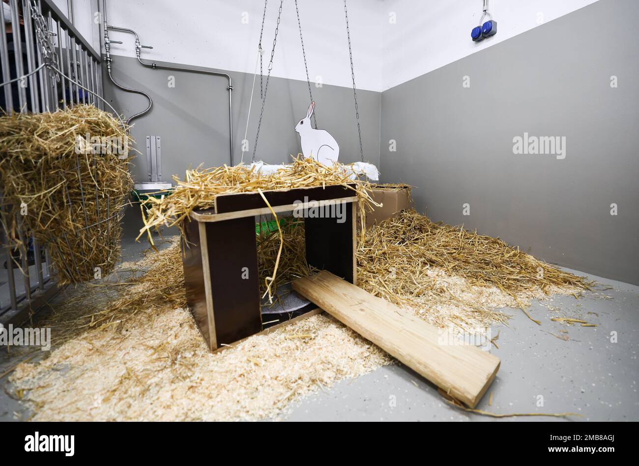 Hamburg, Germany. 20th Jan, 2023. View into a laboratory stall for ...