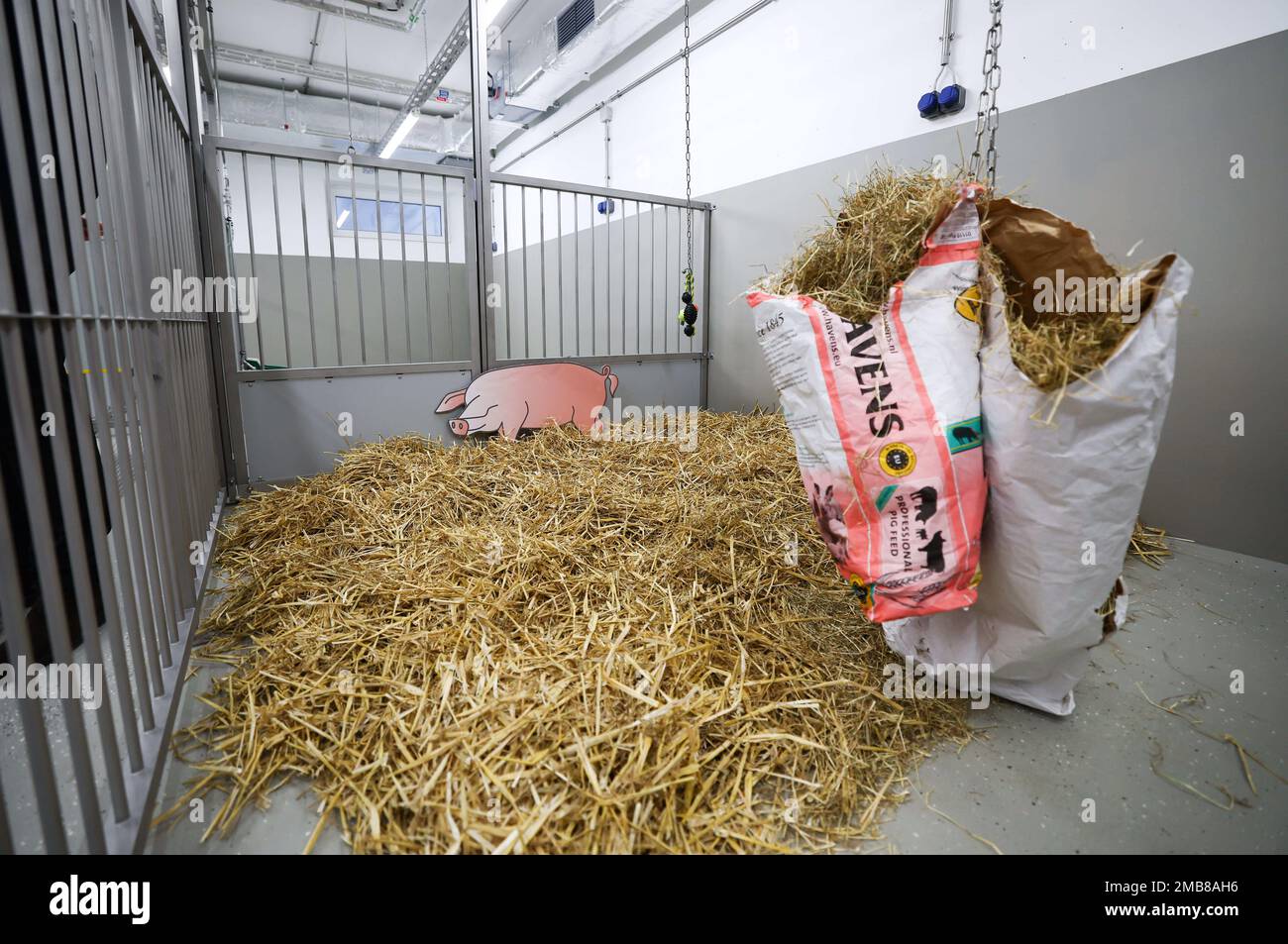 Hamburg, Germany. 20th Jan, 2023. View into a laboratory stall for ...