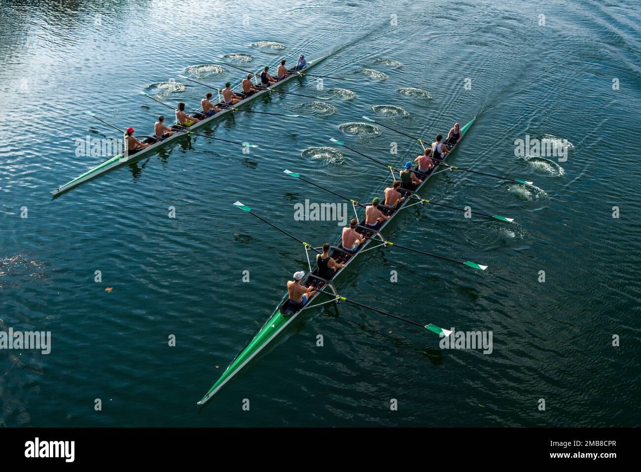 Collegiate sculling teams practice on Ladybird Lake, Austin, Texas ...