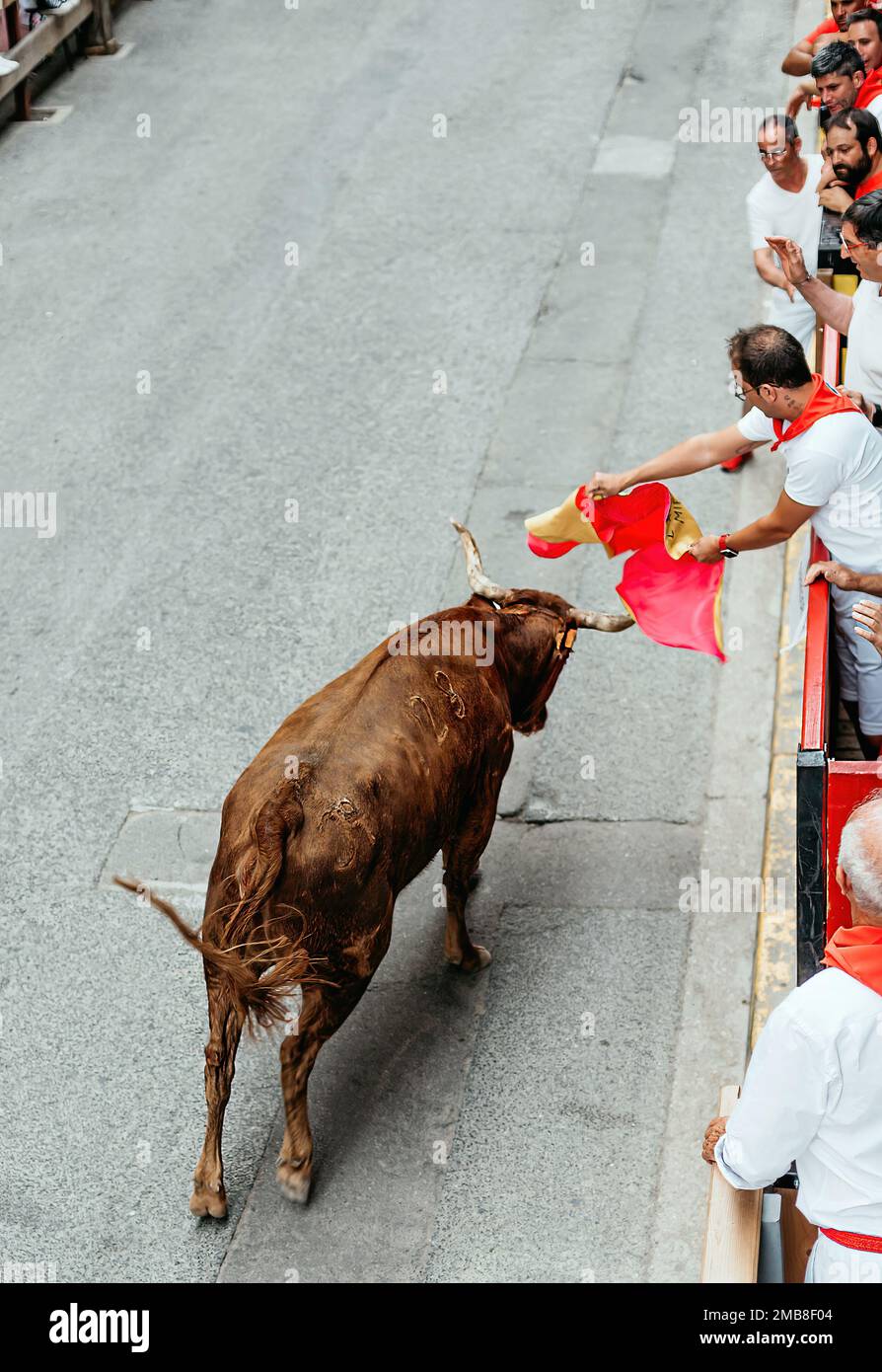 Azagra, Navarra, Spain - August 13, 2022: During the running of the ...