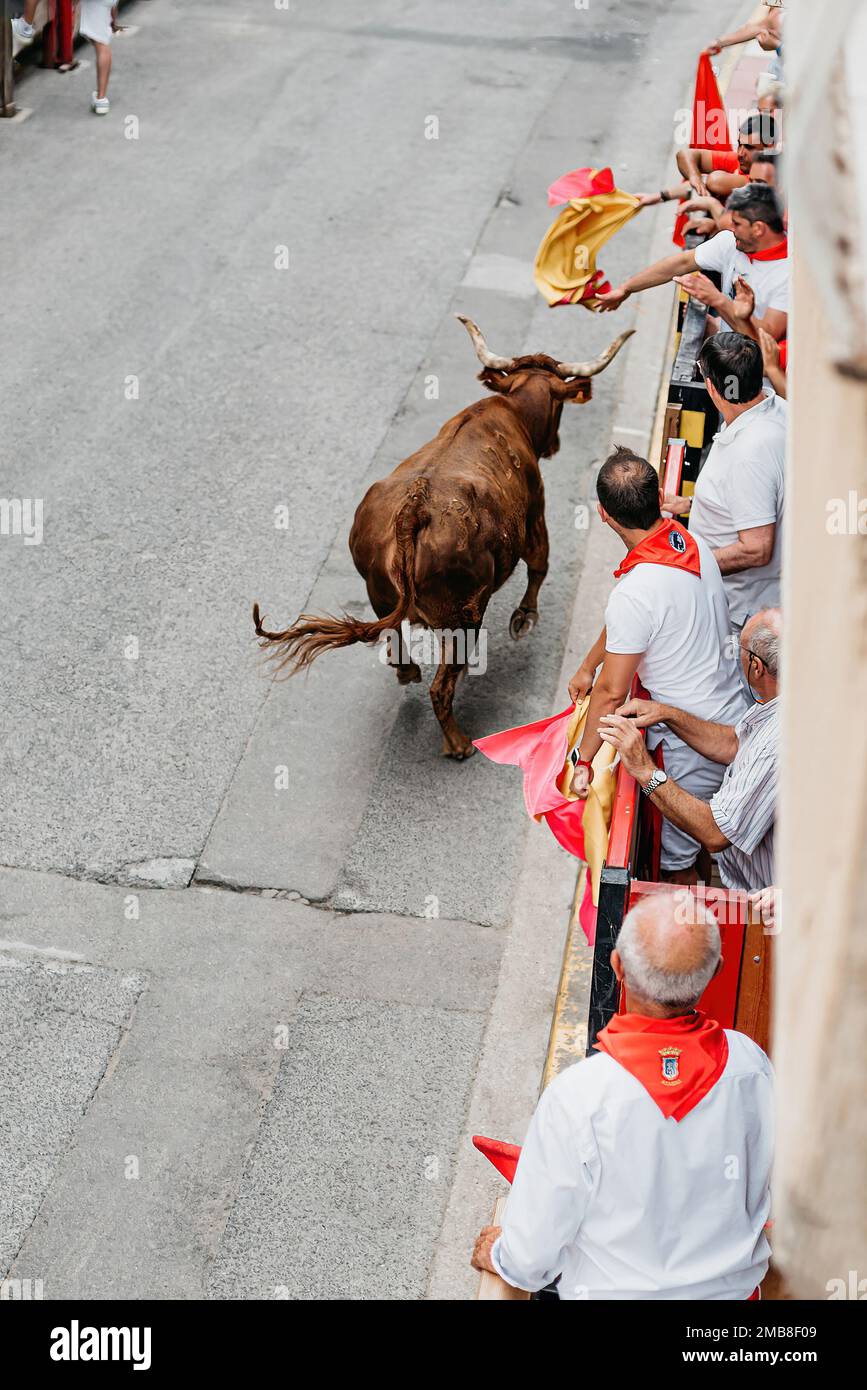 Azagra, Navarra, Spain - August 13, 2022: During the running of the ...