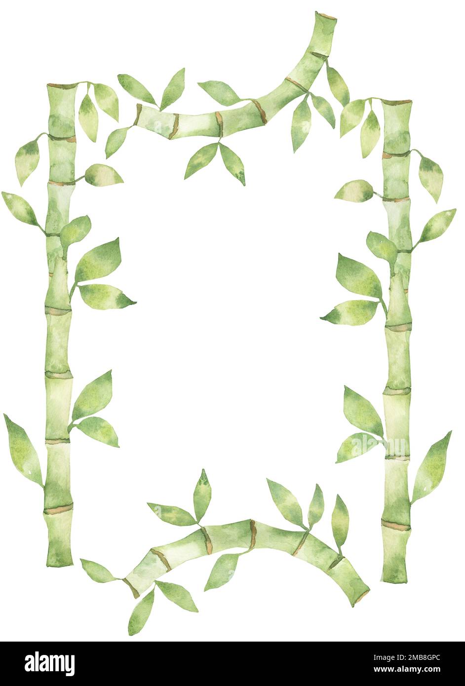 Bamboo frame, hand drawn composition, Watercolor border illustration ...