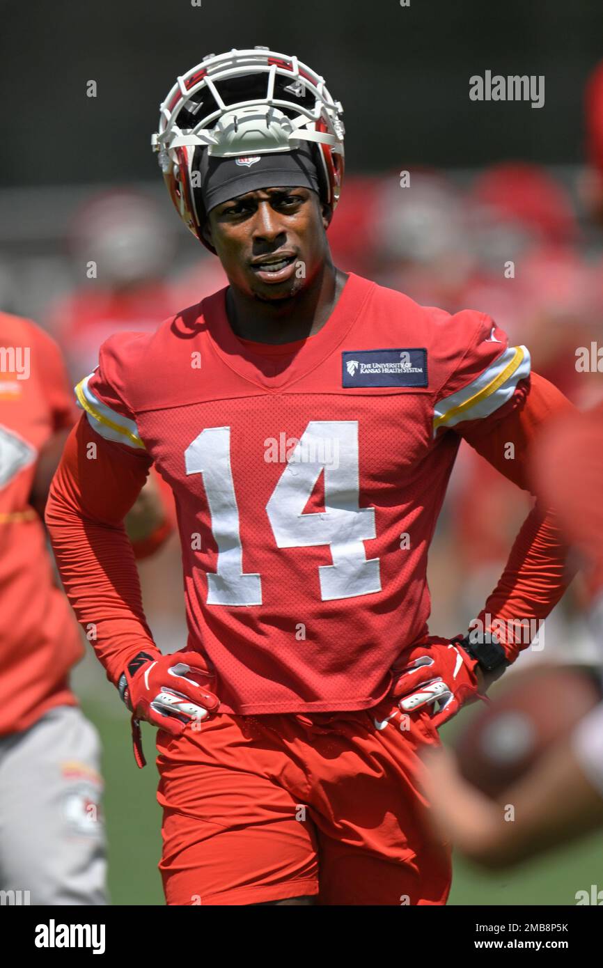 Kansas City Chiefs wide receiver Cornell Powell during the NFL football ...