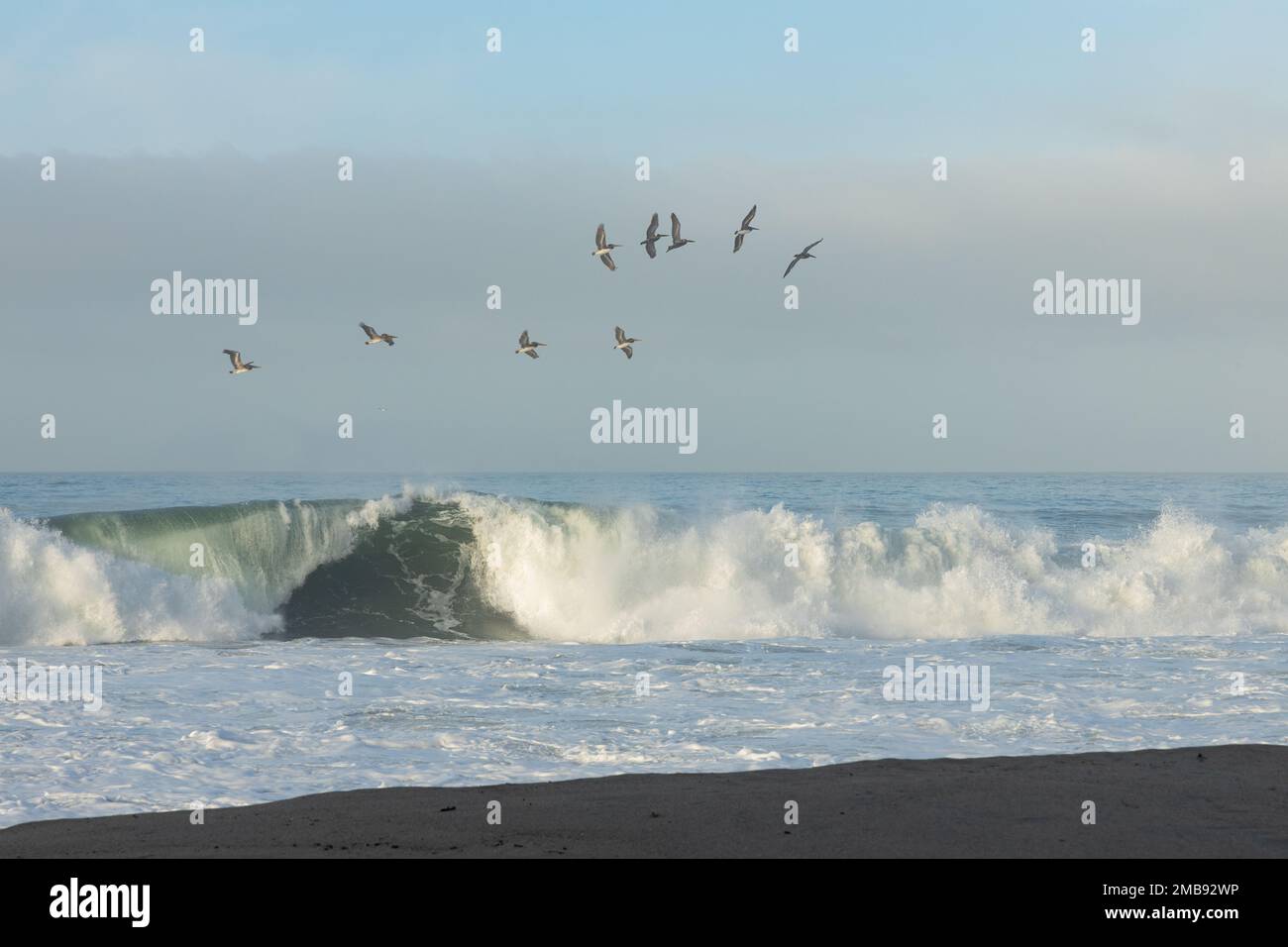 A natural landscape of a wavy seashore Stock Photo - Alamy