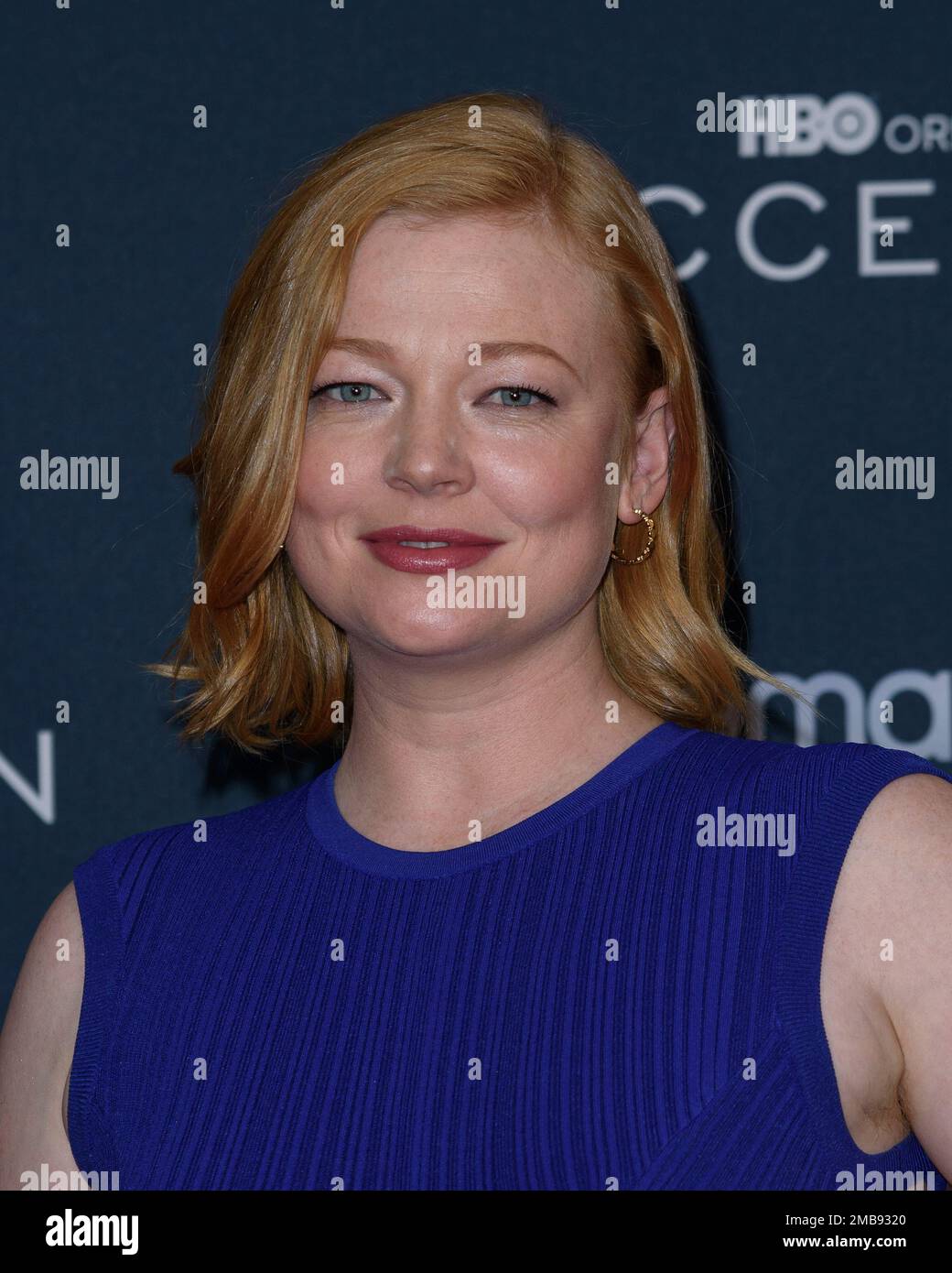 Sarah Snook attends a special Emmy FYC (For Your Consideration ...