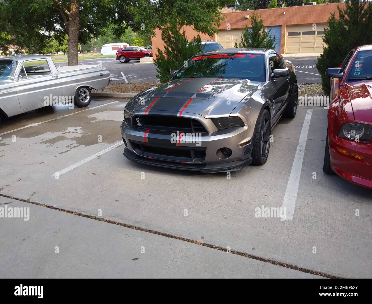 A metallic Ford Shelby GT500 on the asphalt outdoors Stock Photo - Alamy
