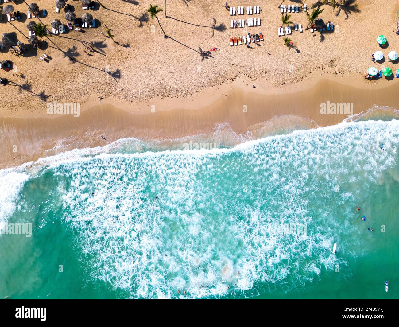 An aerial top shot of Punta Cana beach view with trees and gazebos on ...