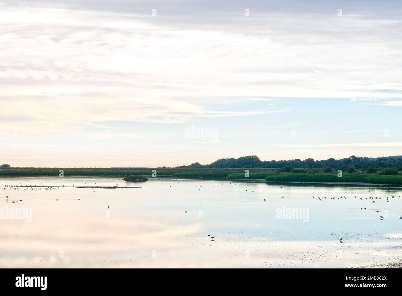 Peaceful start hi-res stock photography and images - Alamy