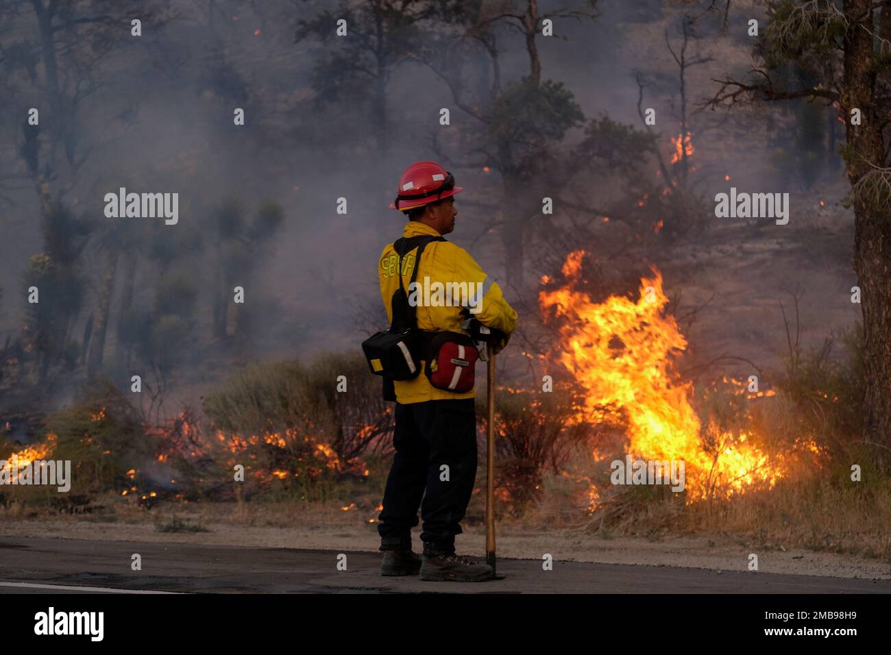 A firefighter watches as the Sheep Fire burns in Wrightwood, Calif ...
