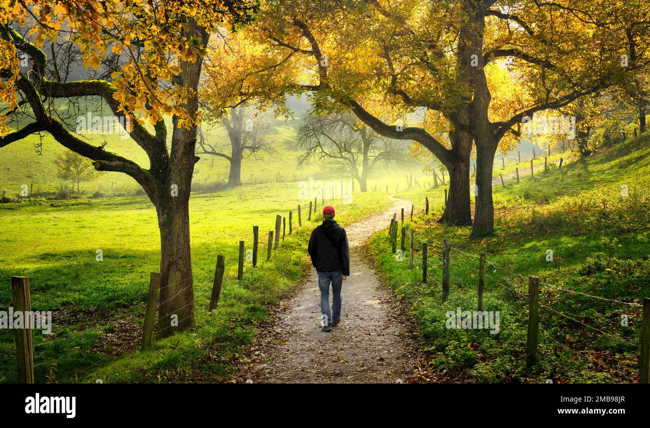 Man through trees hi-res stock photography and images - Alamy